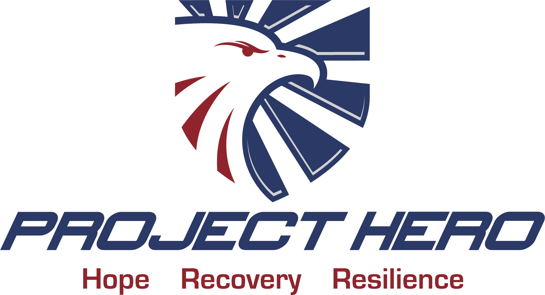 About Us - Project Hero